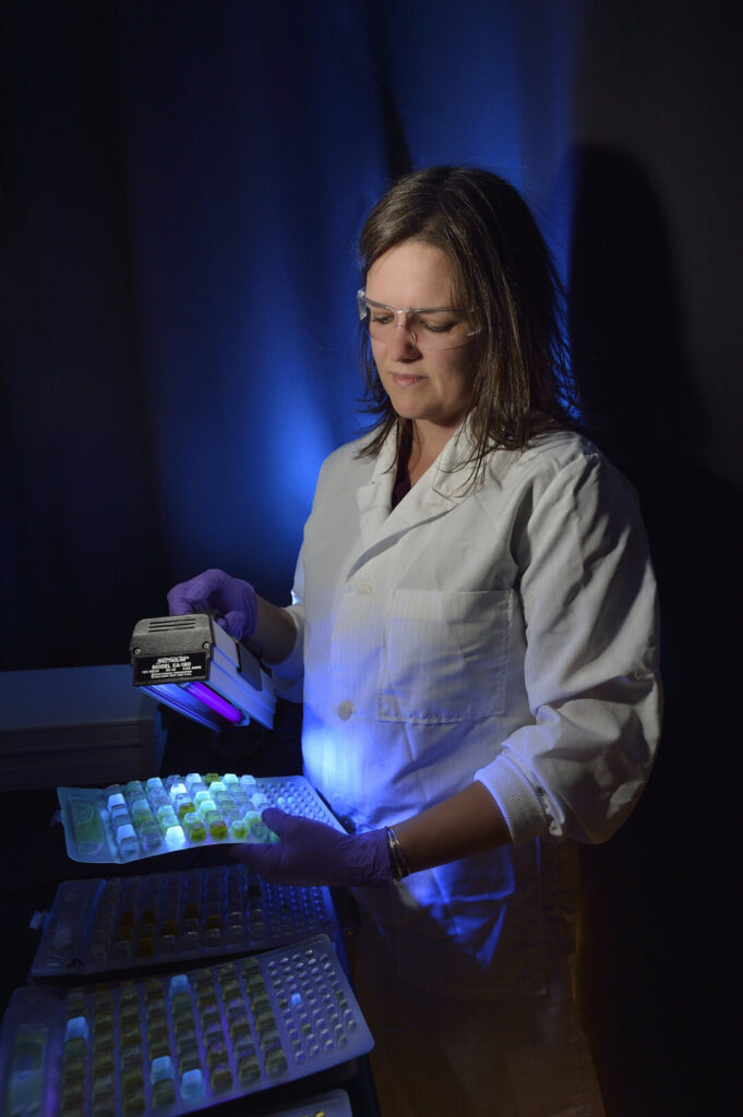 About Research – Virginia Tech India